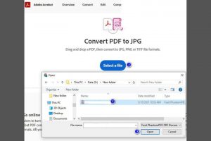 Hướng dẫn cách Copy chữ trong File PDF ai cũng làm được