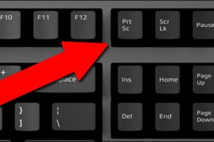 Công dụng của phím Print Screen là gì? Hướng dẫn chi tiết