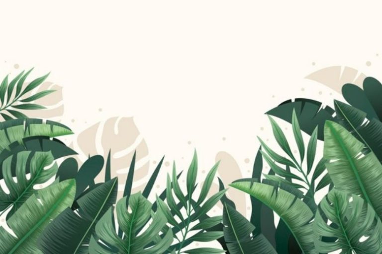 Hình nền Zoom đẹp - Tổng hợp Background Zoom đẹp miễn phí
