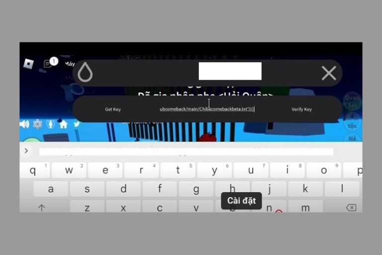 Cách hack Blox Fruit trên diện thoại - PC mới nhất (2023)