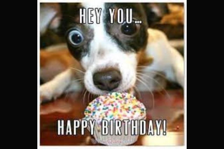 99+ câu chúc mừng sinh nhật bạn, người yêu, người thân,… hay