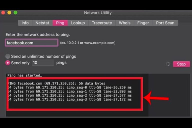 Ping là gì? Hướng dẫn cách kiểm tra Ping siêu dễ cho bạn