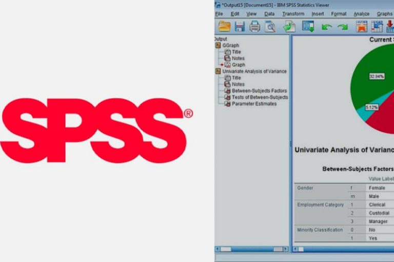 SPSS là gì? Tất tần tật về các tính năng và cách ứng dụng