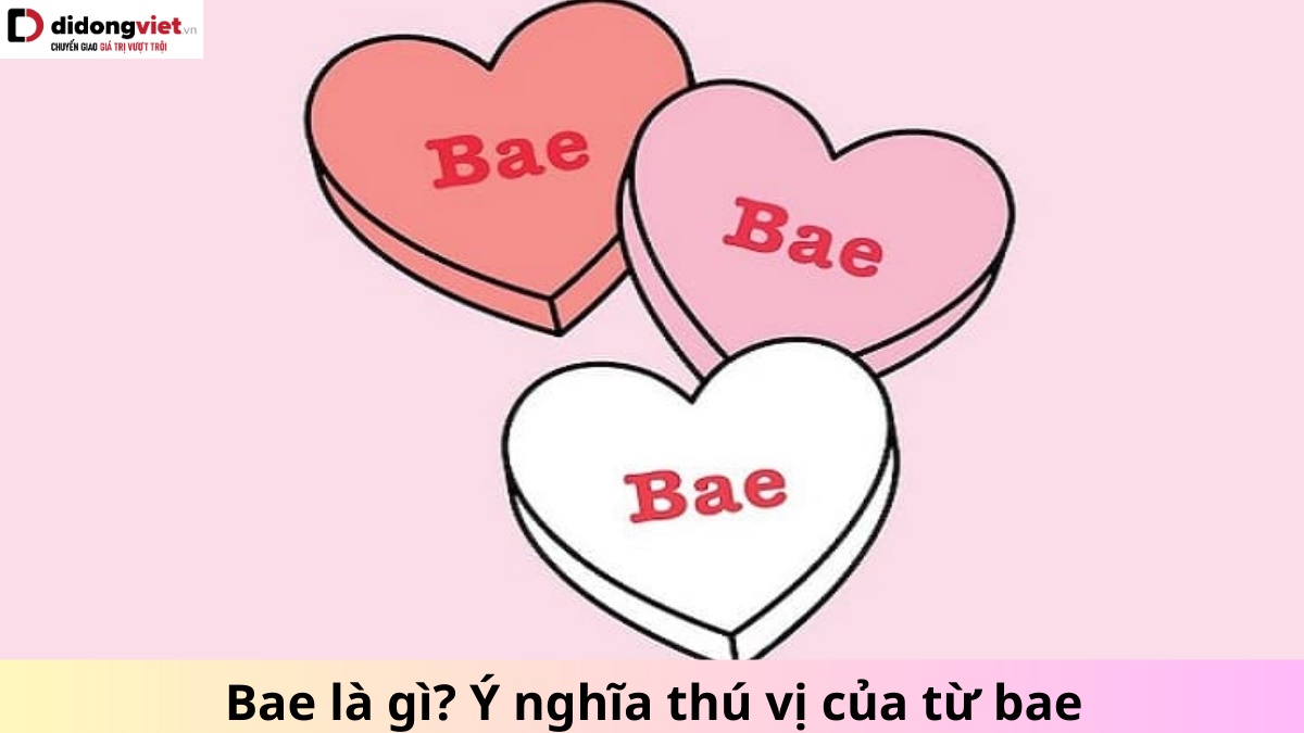 Bae là gì? Ý nghĩa và cách dùng từ bae trong tình yêu