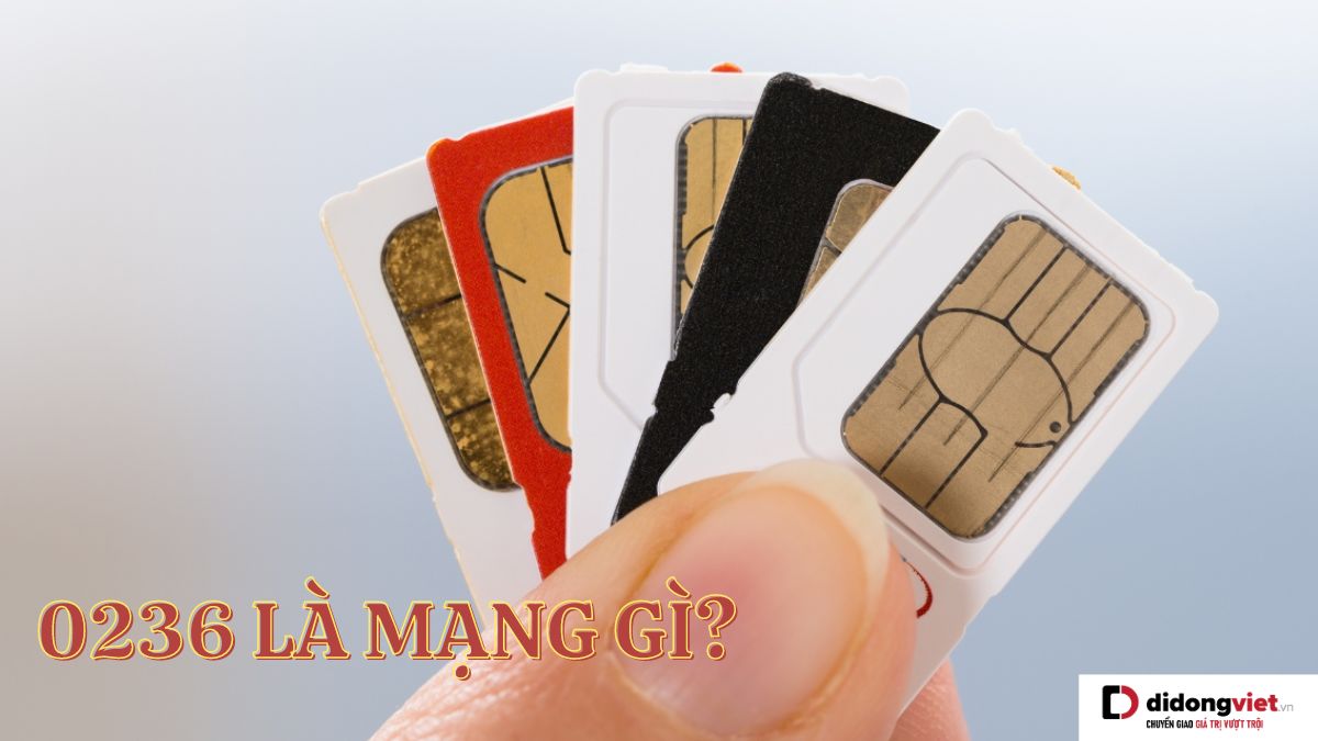 0236 là mạng gì? Mã vùng ở đâu? có phải số chuyên lừa đảo?