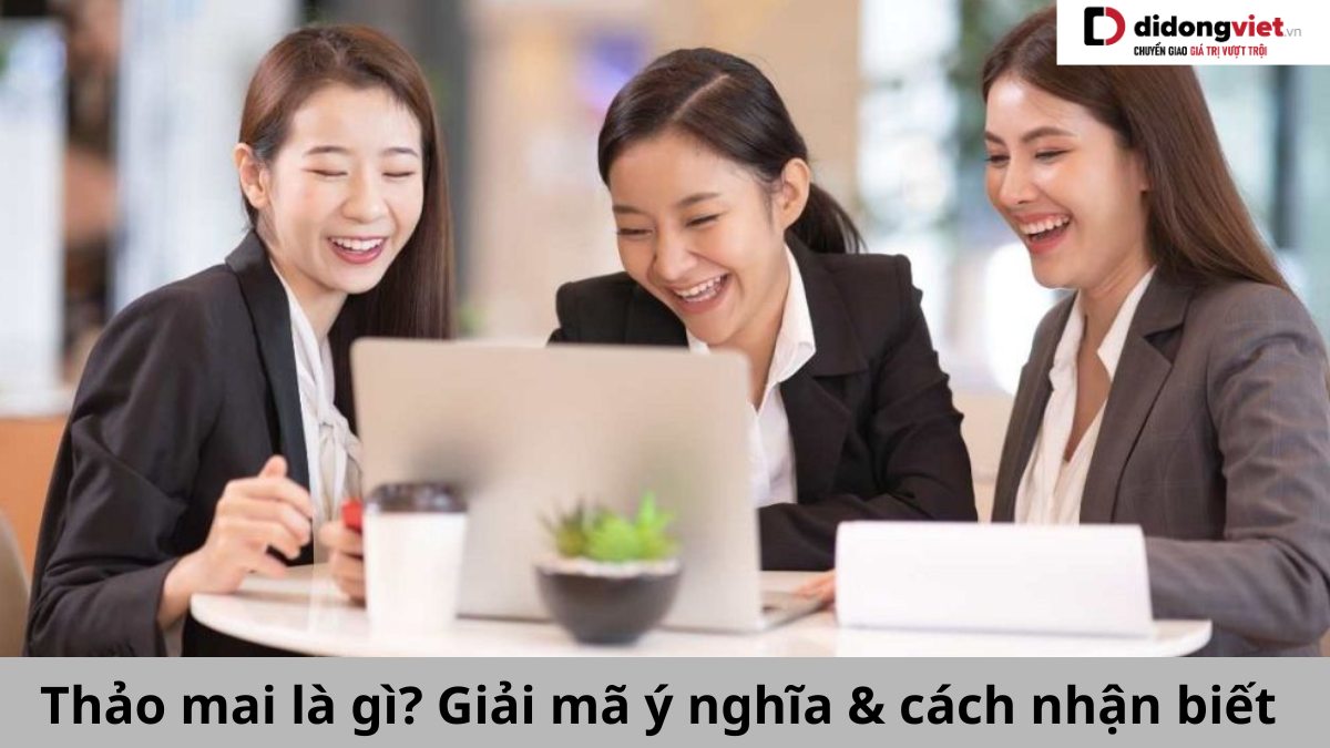 Thảo mai là gì? Dấu hiệu nhận biết & cách ứng xử "cao tay"