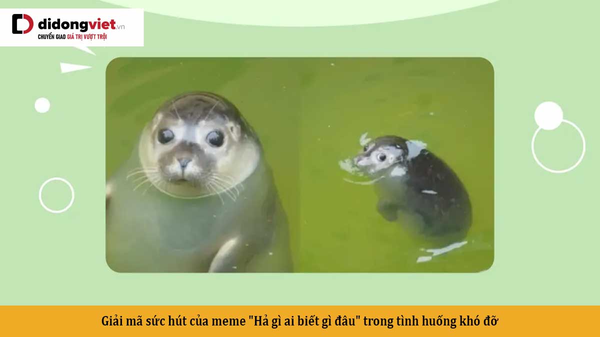 "Hả gì ai biết đâu": Ý nghĩa và cách sử dụng meme "bất hủ"