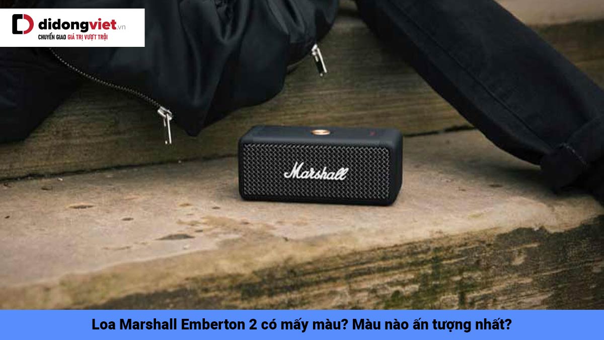 Loa Marshall Emberton 2 có mấy màu? Màu nào đẹp nhất?