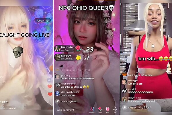 NPC là gì? Bot là gì? Chúng khác nhau như thế nào?